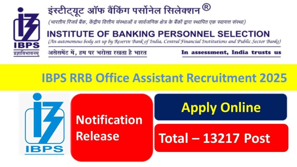IBPS RRB Office Assistant Recruitment 2025 Apply Online For 13217 Post
